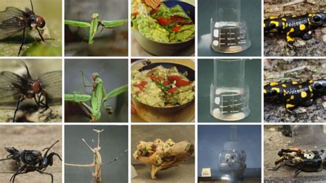 Mind Reading Ai Turns Thoughts Into Pictures With Unprecedented Accuracy