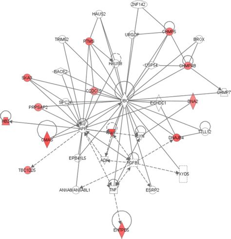 A Network Constituting Some Genes With Altered Expression After A