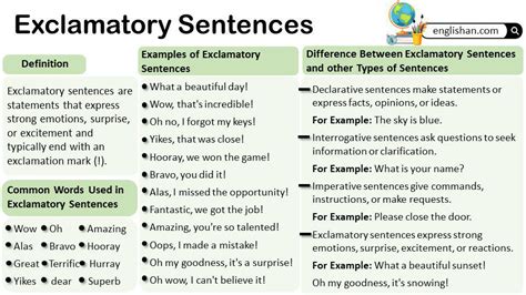 Interrogative Sentence Structure