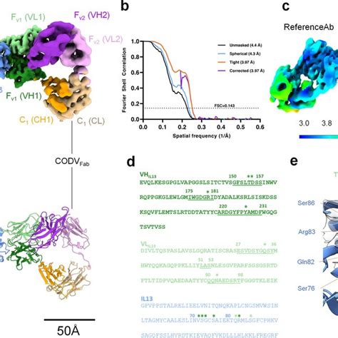 Pdf Structural Insights Into The Bi Specific Cross Over Dual Variable