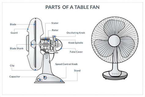 How A Table Fan Works Electromagnetic Induction And Airflow Dynamics