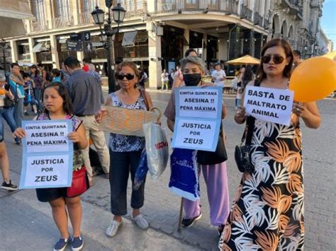 Masiva Marcha Para Pedir Justicia Por Zeus Sociedad Ahora Salta