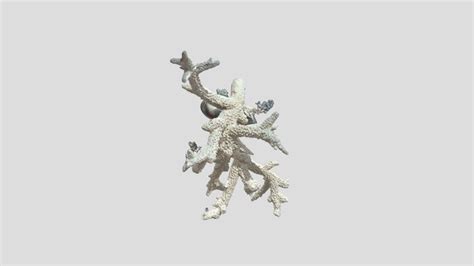 Sio 3d Models Sketchfab