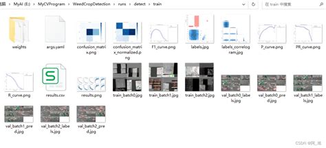 基于yolov8深度学习的农作物幼苗与杂草检测系统【python源码pyqt5界面数据集训练代码】深度学习实战、目标检测 阿里云开发者社区