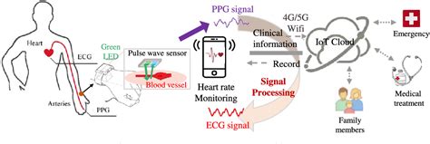 Figure 3 From Photoplethysmography Based Heart Action Monitoring Using A Growing Multilayer