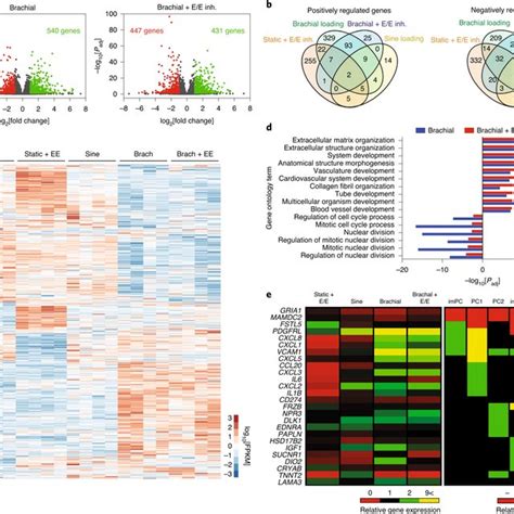 Gene Expression Analysis Using RNA Seq Demonstrates That Mechanical Download Scientific Diagram
