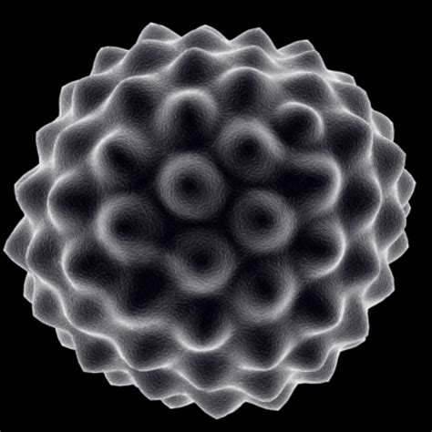 3d Model Microscopic Pollen