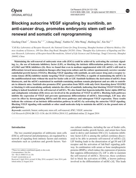 Pdf Blocking Autocrine Vegf Signaling By Sunitinib An Anti Cancer Drug Promotes Embryonic