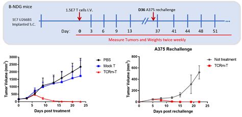 Tcr Mimic Assets Biocytogen