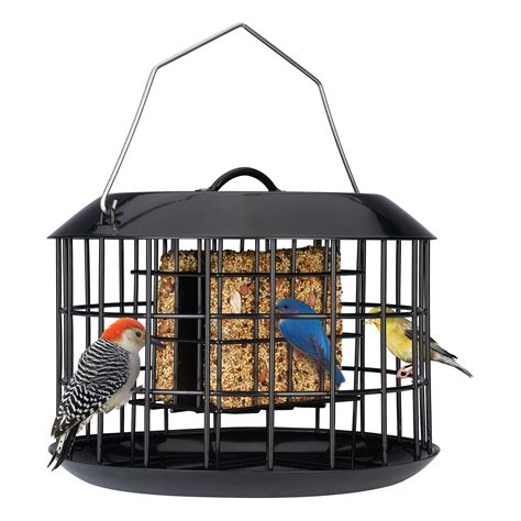 Kingsyard Squirrel Proof Double Suet Feeder Metal Cage For Outdoors