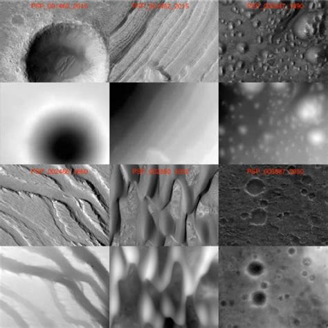 examples of the training datasets 1st and 3rd rows are the cropped