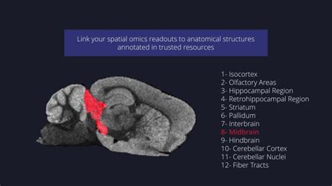 Aspect Analytics On Linkedin Spatial Multi Omics Data Analysis Made