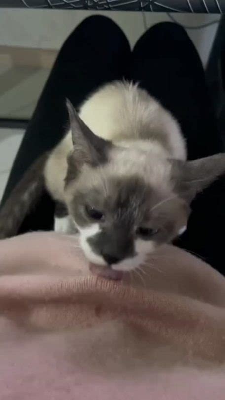 Post 740973760383959040 Soil Tumbex