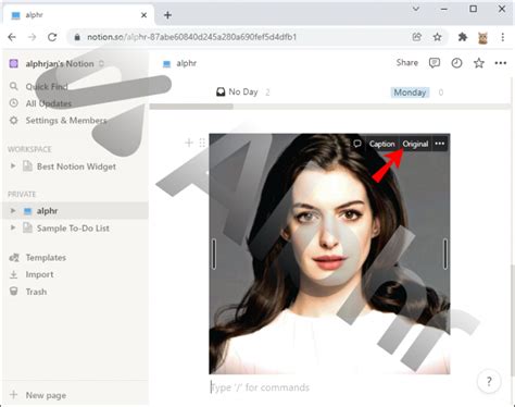 How To Add Photos In Notion