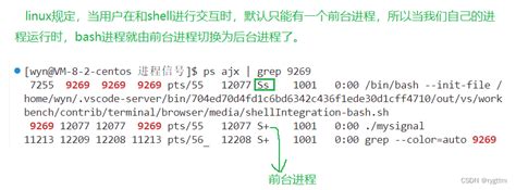 Linux进程信号 信号的产生 保存 捕捉递达 1 阿里云开发者社区