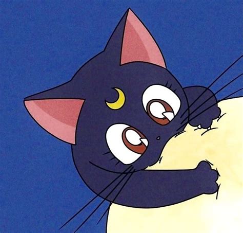 Sailor Moon Screencaps Artofit