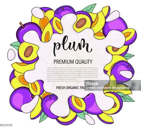 매화 전체 및 조각으로 벡터 배경 흰색 배경에 격리된 벡터 스톡 일러스트레이션입니다 과일이 있는 카드 디자인 물이나 우유의 물 튀김 제품 정보 및 문자 0명에 대한 스톡