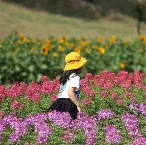 海宁已入夏！最高气温将直冲30℃市气象台夏天偏南风