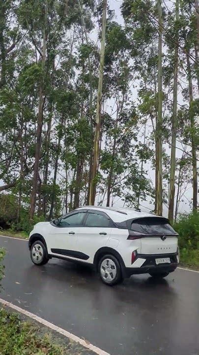 مزارع الشاي مونار كيرلا الجزء الأول Youtube