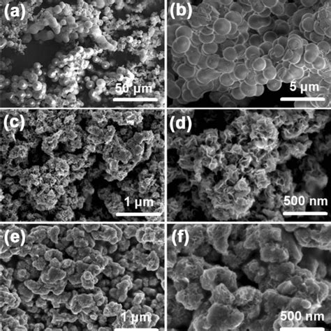 The Number Density Distribution Of Anion And Cation Of Different