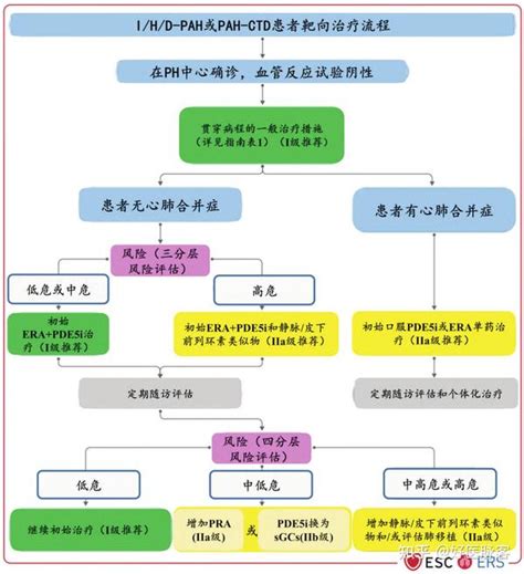 靶向药治疗肺动脉高压的最新变化 知乎