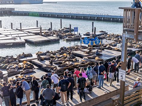 San Francisco Waterfront Bay Bridge To Pier 39