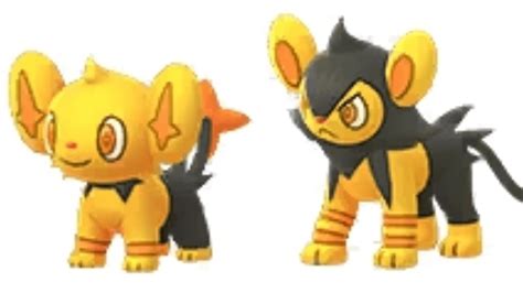 Shinx Wallpapers Top Free Shinx Backgrounds Wallpaperaccess
