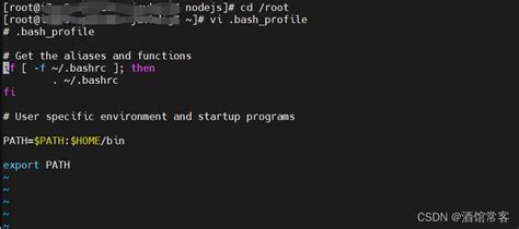 云服务器安装配置nodejs（以阿里云为例） 阿里云服务器安装nodejs csdn博客