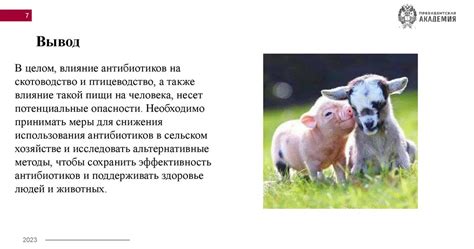 Антибиотики в пище презентация онлайн