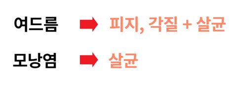 클리어틴 크레오신 박테로신 애크논크림 여드름 약 비교 Feat 동네약사 네이버 블로그
