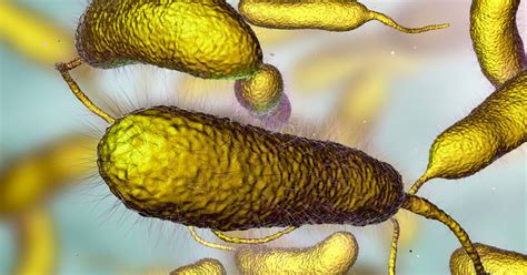 2nd Ct Person Dies From Flesh Eating Bacterial Infection