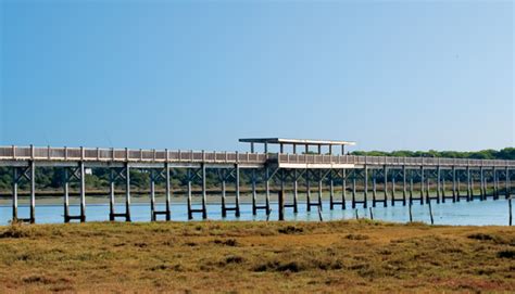 excursiones en El Puerto de Santa María que sorprenderán a tus hijos