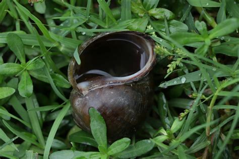 Fazlul Kader Chowdhury Photography