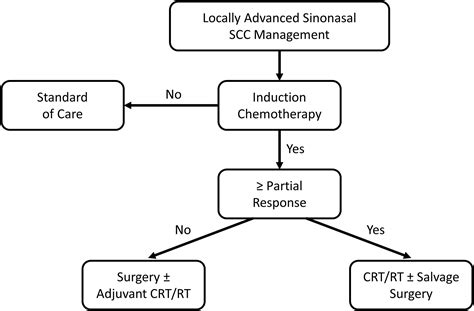 What Is The Role Of Induction Chemotherapy In The Treatment Of Locally