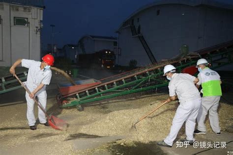 学史力行践初心，为国储粮担使命——中央储备粮新蔡直属库加班加点齐奋战 风雨无阻保粮安 知乎