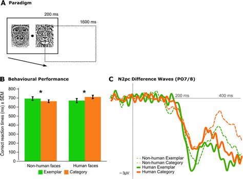 visual search task a sample visual search trial participants