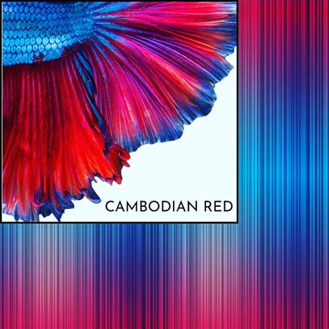 Another Betta Fish Inspiration And Thalassa Beachwear