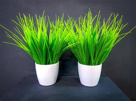 Осока трава в интерьере 88 фото красивые картинки и Hd фото