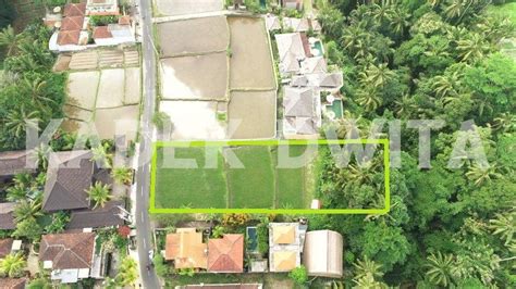 Dijual Tanah Jalan Tirta Tawar Ubud Los Sungai Lingkungan Villa IDRumah