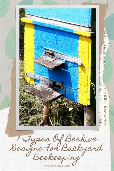 The 7 Different Types Of Beehives For Your Backyard Video Video
