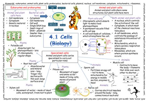 Gcse Combined Science Questions By Topic