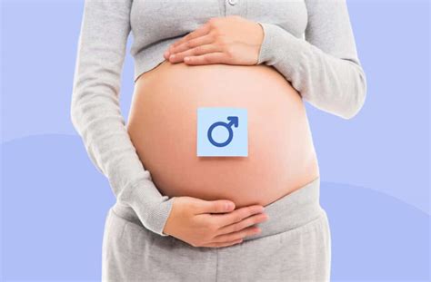 How To Get Pregnant Fast With Retroverted Uterus All Your Questions