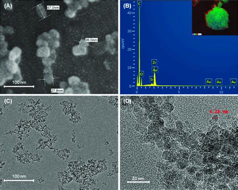 Characterization Of The Nanoparticles A B FE SEM Images Of Particle