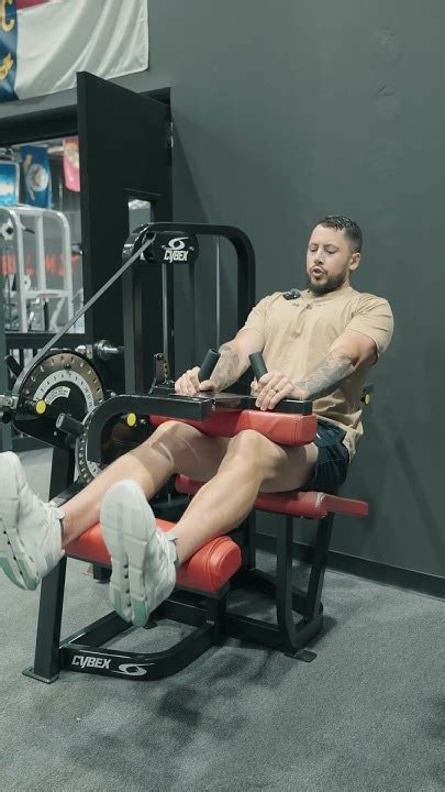 Seated Hamstring Curl Machine - YouTube