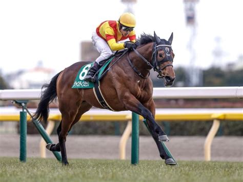 【皐月賞予想】10年で7回馬券圏内の幸運馬番は？ 過去データで探る「皐月賞」 競馬ニュース Netkeiba