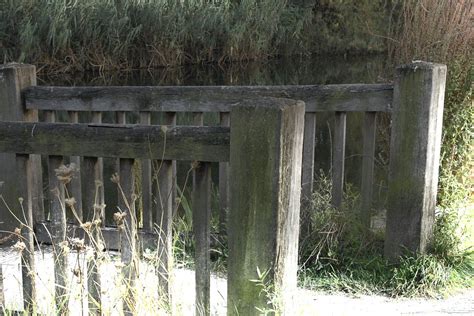 Brücke über Einem Teich Foto And Bild Landschaft Garten