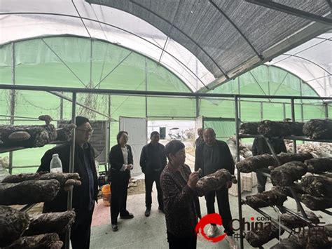 2023年河南省“新时代宣讲师”志愿服务走进遂平县花庄镇 中华网河南