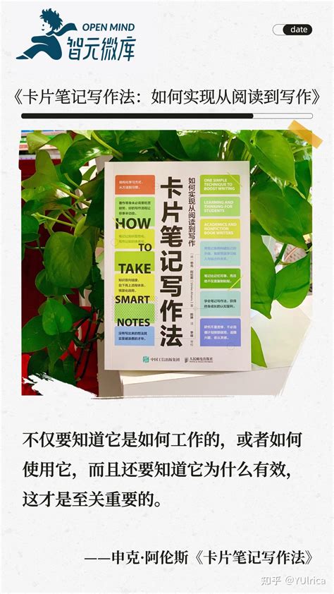 一天一金句 知乎