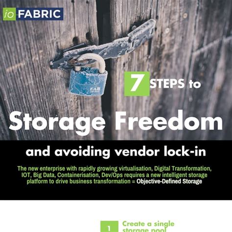 7 Steps To Storage Freedom And Avoiding Vendor Lock In Io Fabric 2017 Pdf