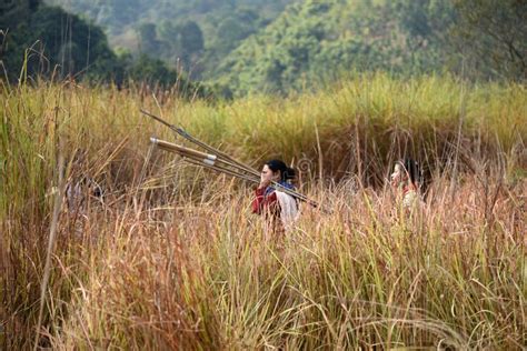 Bhogali Bihu Festival Of Assam Editorial Stock Image Image Of Feast